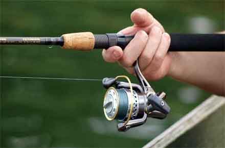 A Comprehensive Guide to the Most Popular Types of Fishing Lines ...