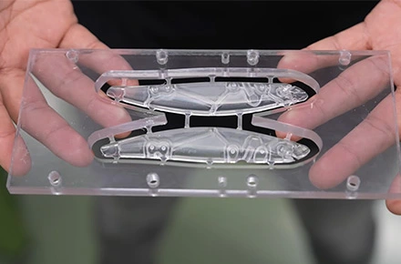 Fishing Lures - fishkoolsports.com