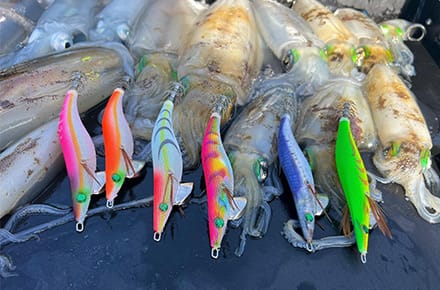 How to Choose the Best Squid Lure - fishkoolsports.com